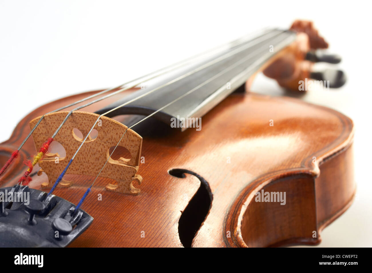violin on white Stock Photo - Alamy