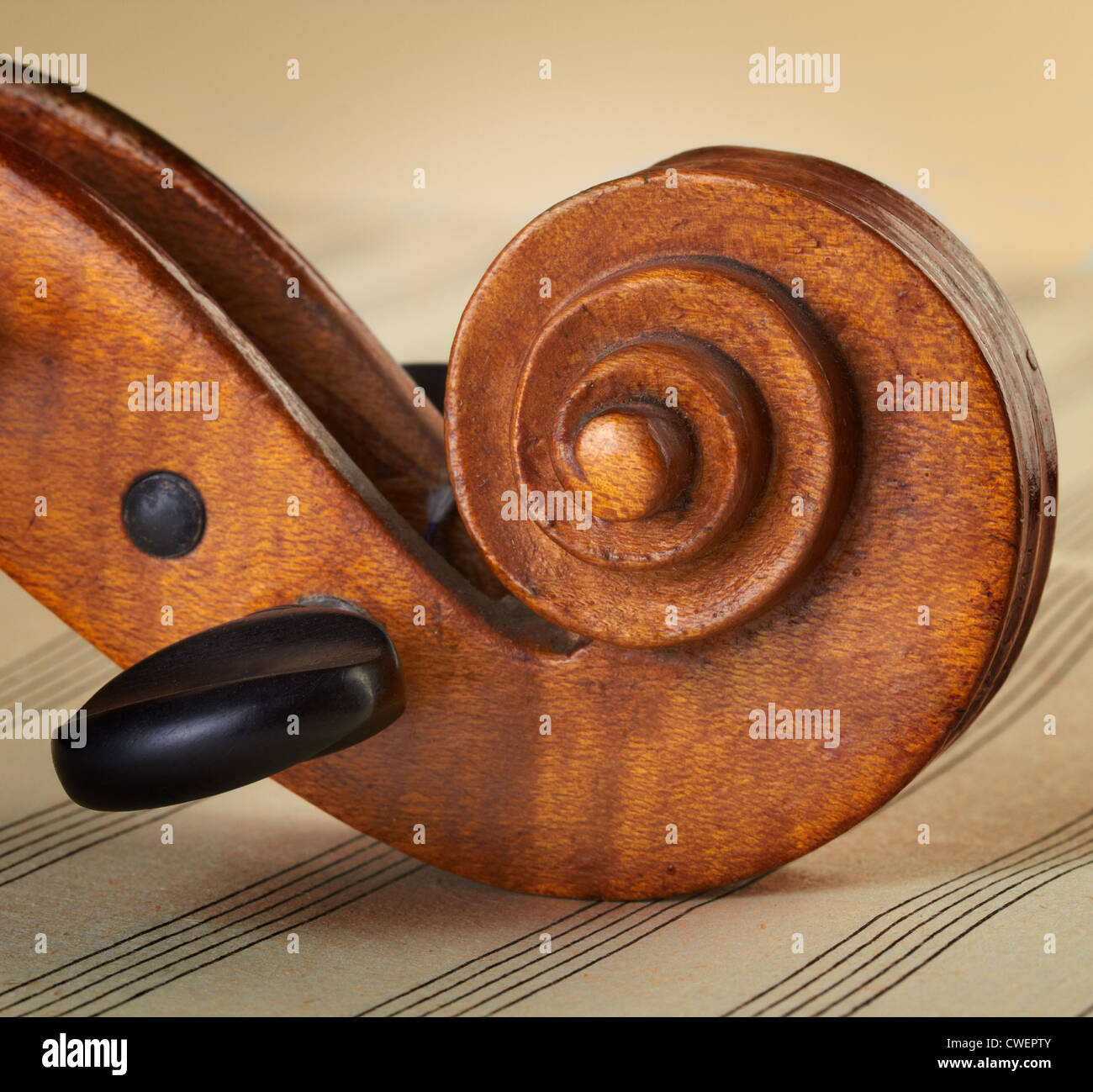 Neck violin hi-res stock photography and images - Alamy