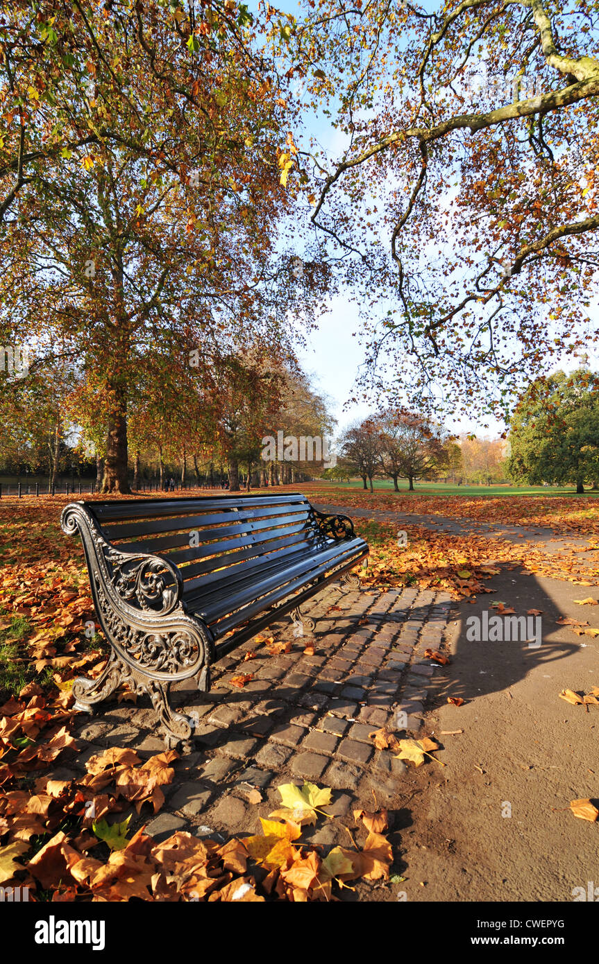 Detail of bench in the park during autumn Stock Photo - Alamy