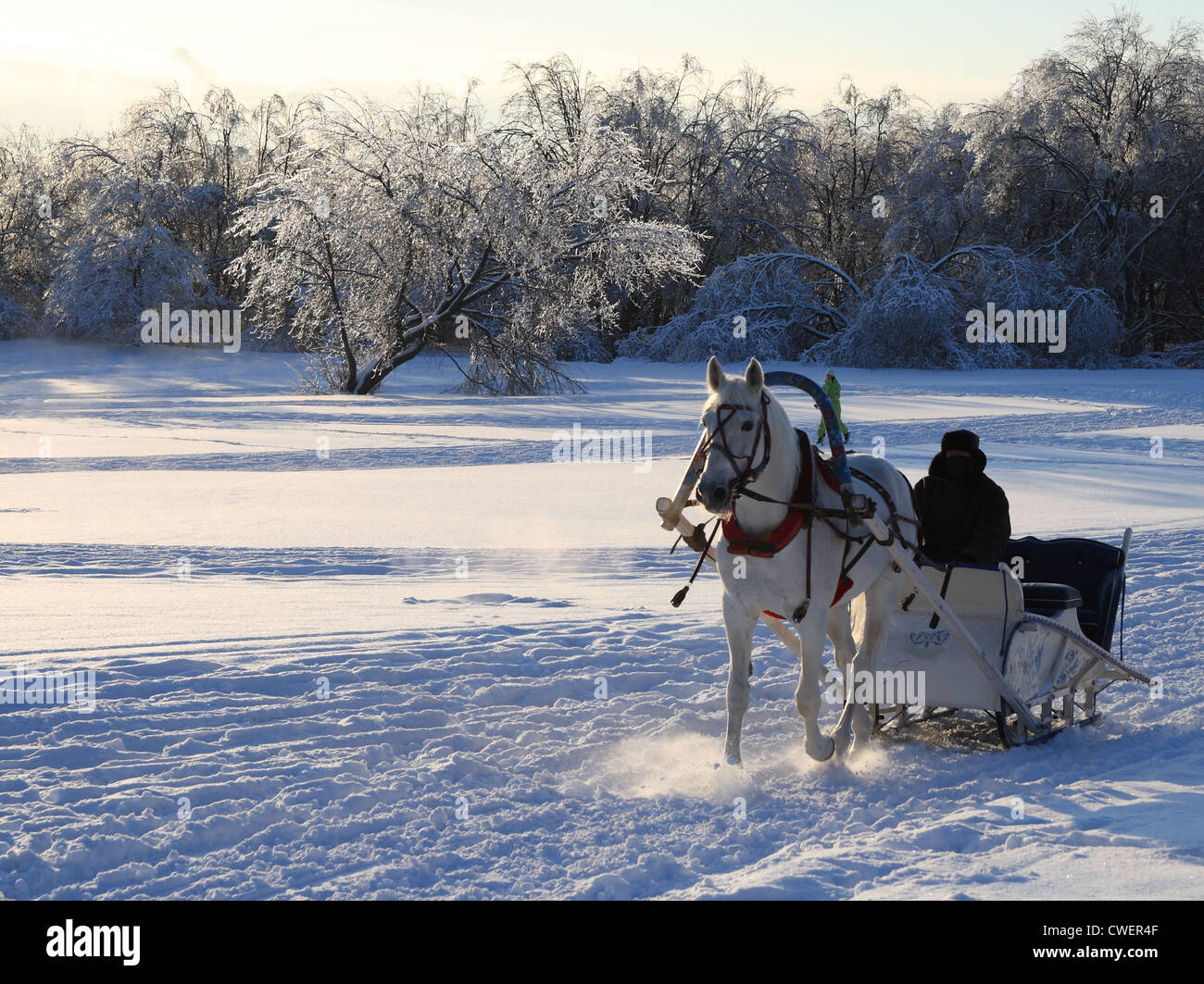 Man in carriage hi-res stock photography and images - Alamy
