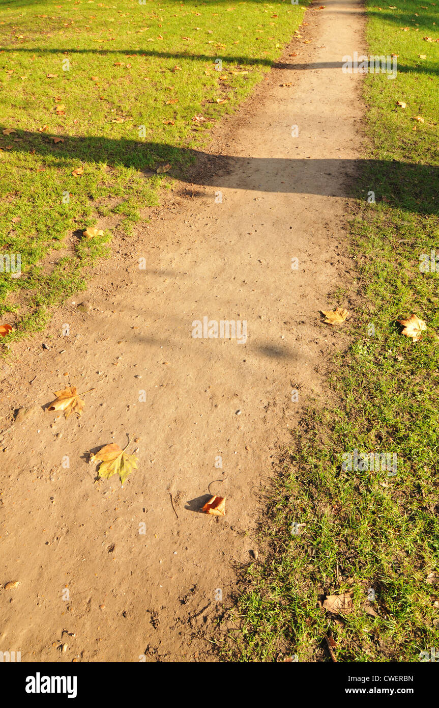 Empty alley in the park in autumn Stock Photo - Alamy