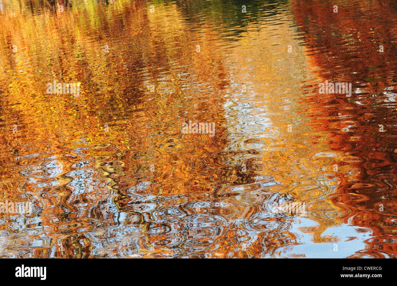 Abstract autumn reflections Stock Photo - Alamy
