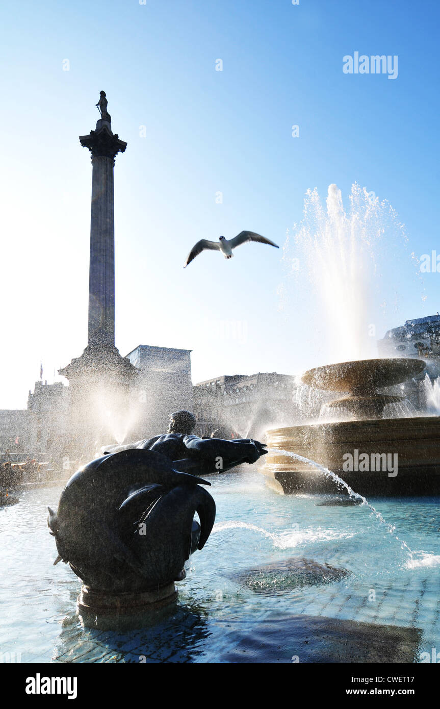Architectural details in Trafalgar Square, London Stock Photo - Alamy