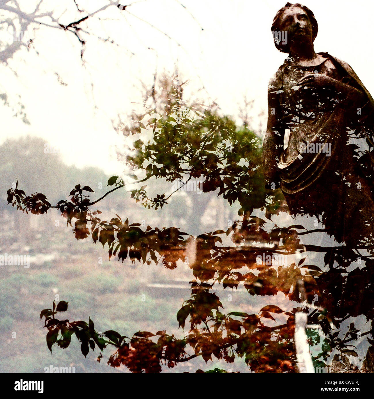 A double exposed image of a statue of Virgin Mary in a cemetery with ...