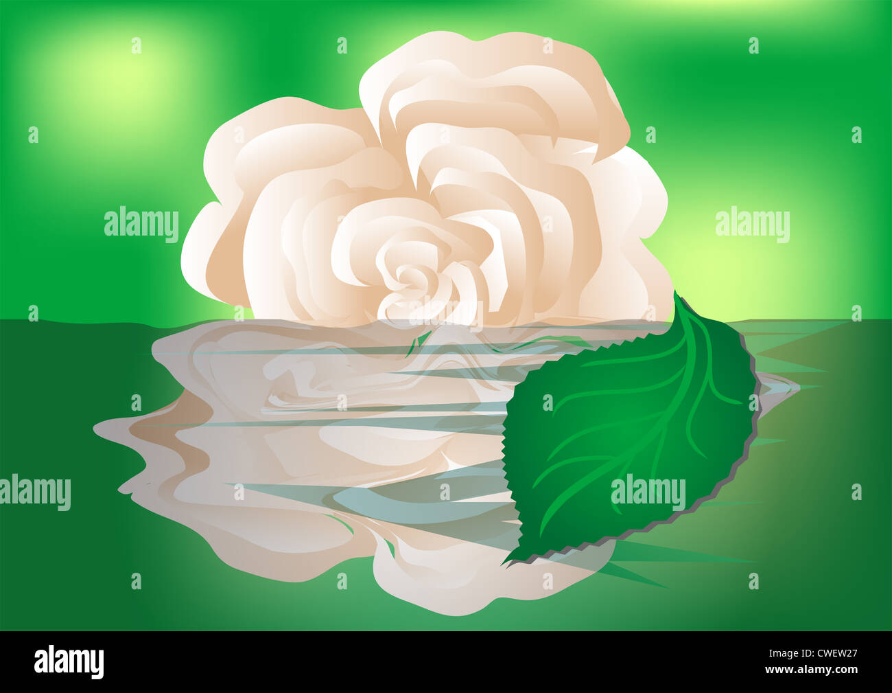 rose in the water Stock Photo - Alamy