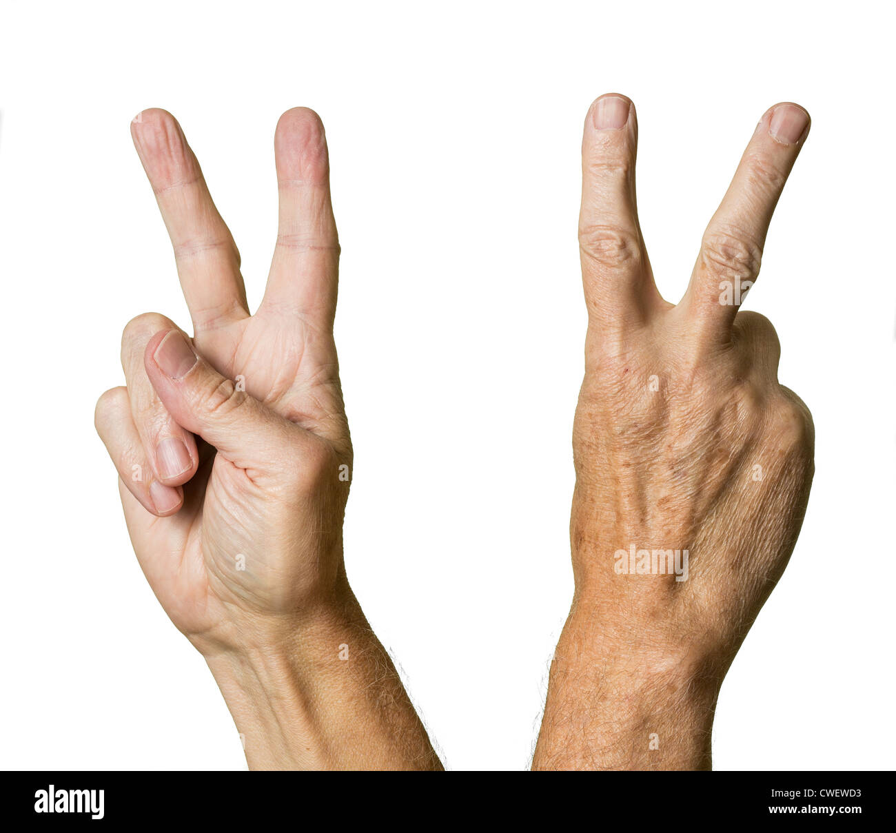 Pair of caucasian hands in V signs Stock Photo - Alamy