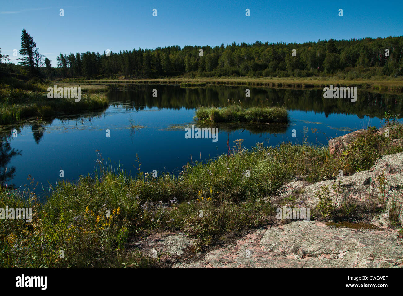 Canada whiteshell provincial park hi-res stock photography and images ...