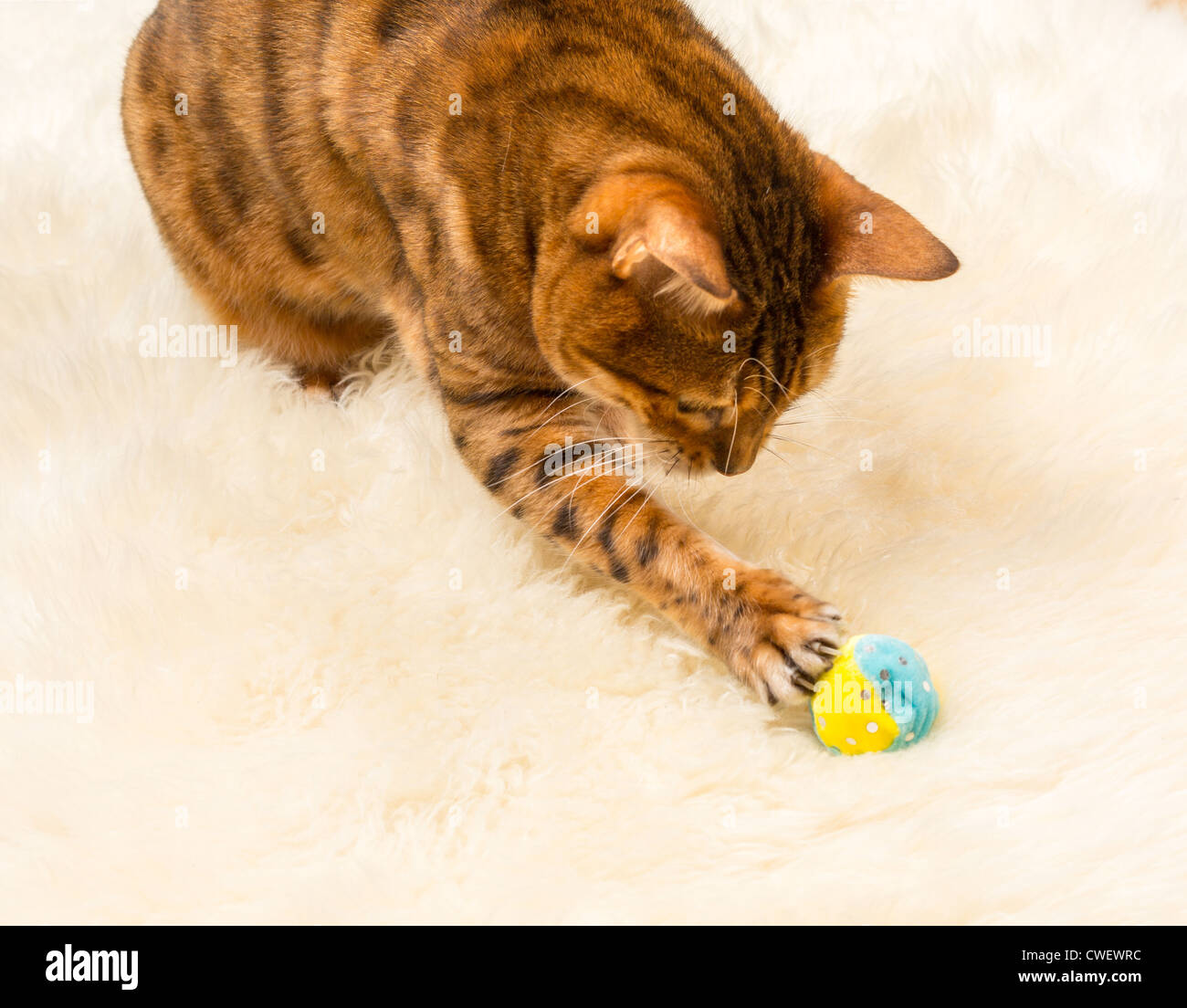 Belly tickle hi-res stock photography and images - Alamy
