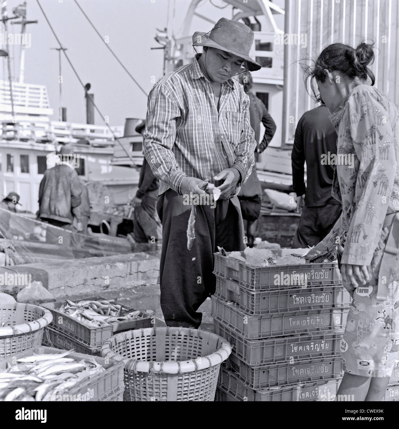 Husband and wife fish traders selecting produce from fresh fish catch ...