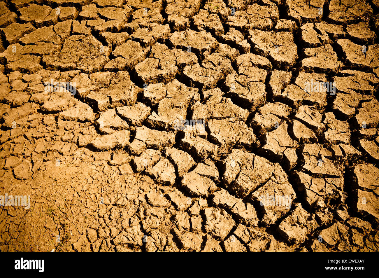 Clay soil without water soil hi-res stock photography and images - Alamy