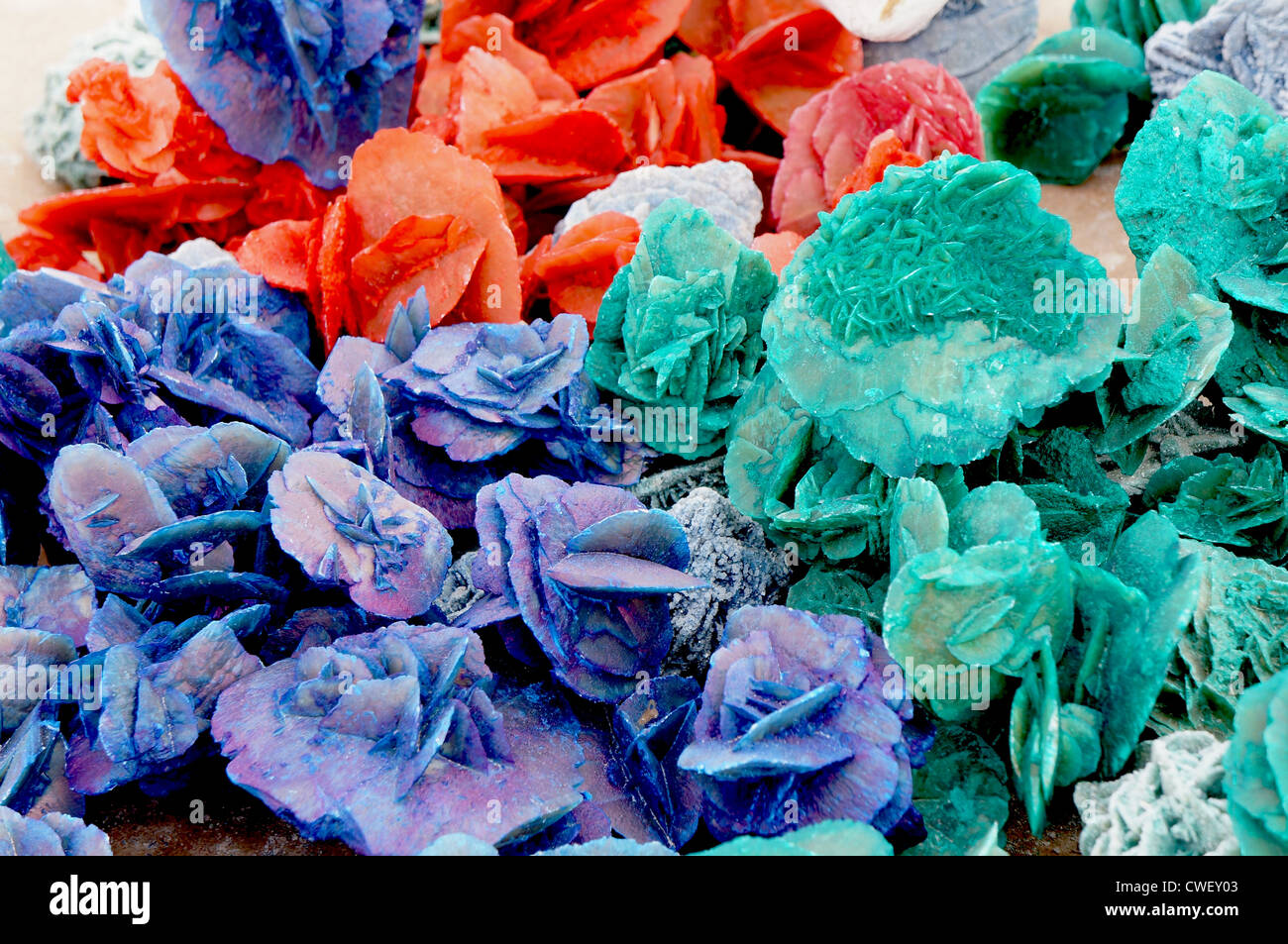 Close up view of colorful desert roses of the Sahara desert Stock Photo ...