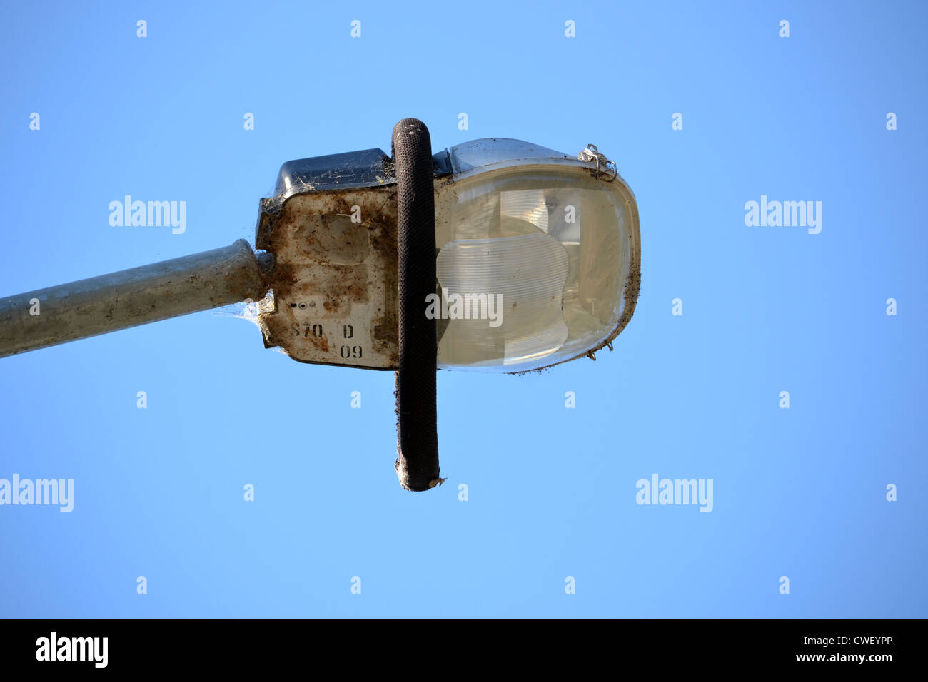 Street light filled with spider webs and dead bugs Stock Photo - Alamy