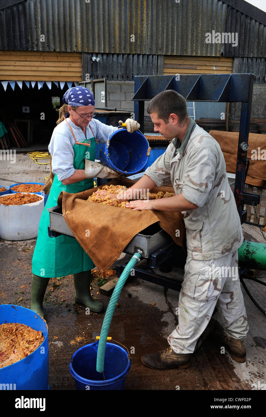 Cider making on an English farm - bucketing mashed apples into the ...