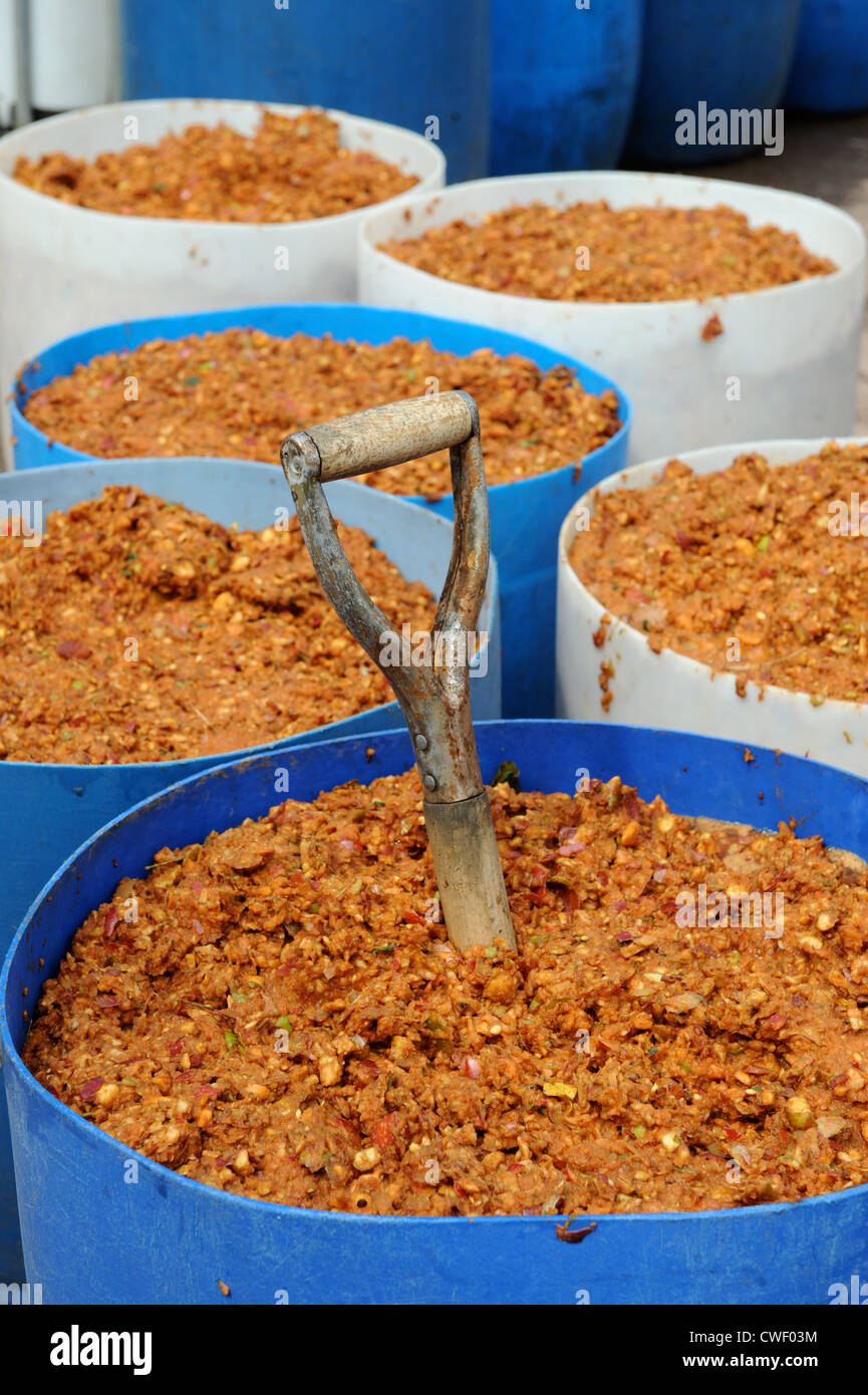 Cider making on an English farm - buckets of mashed apples reading for ...