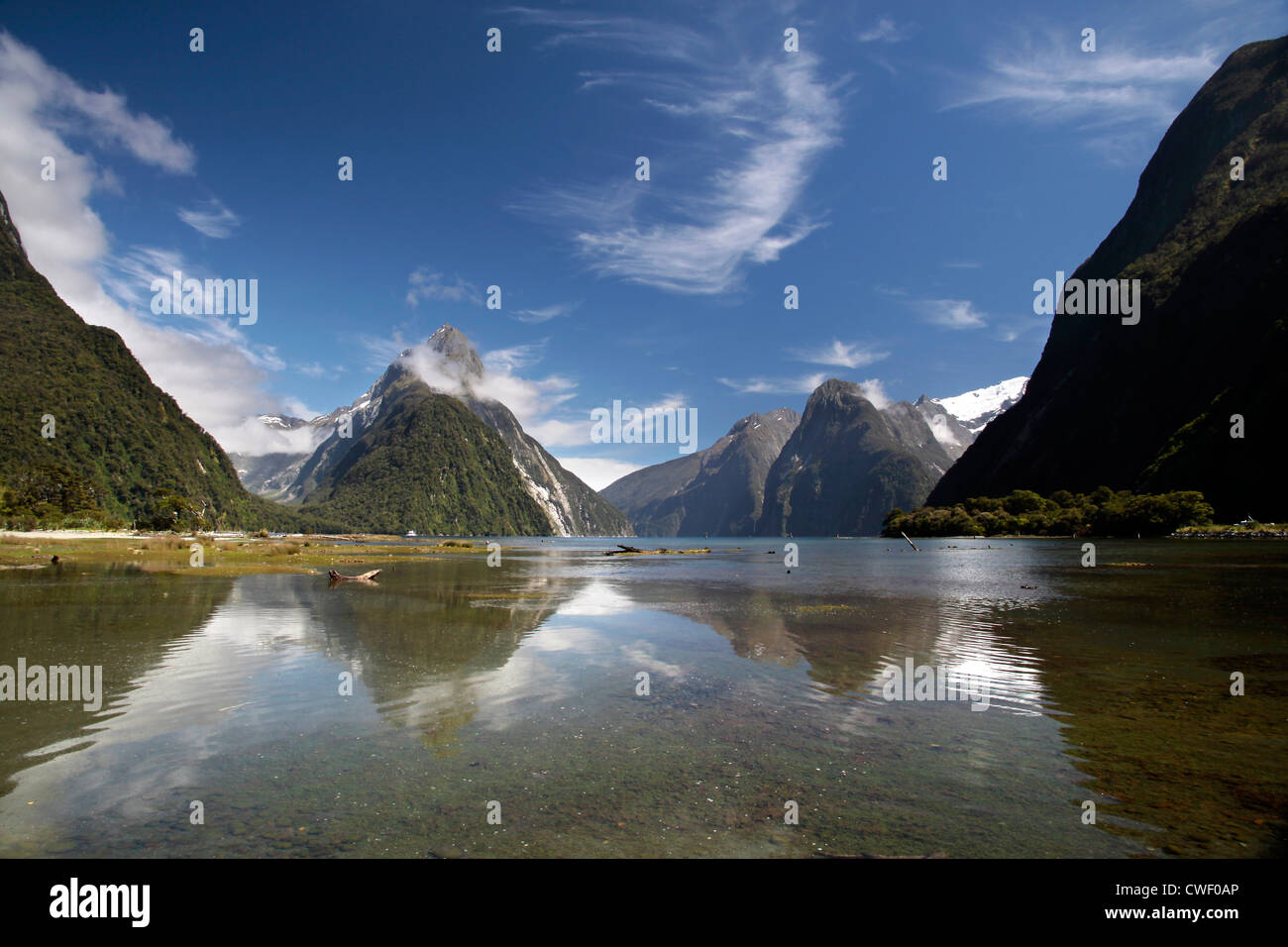 Milford Sound landscape, Southland, South island, New Zealand Stock ...