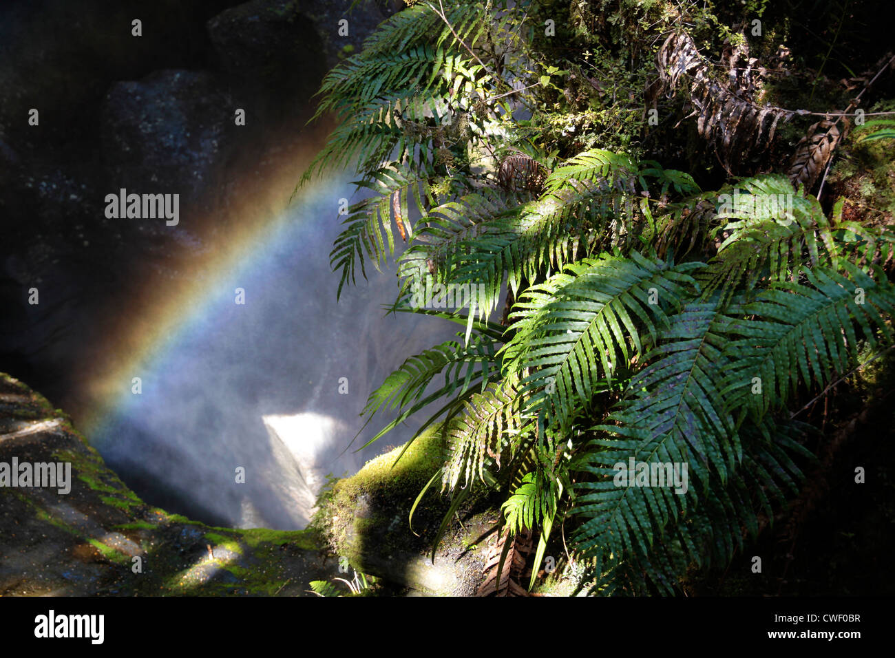 The chasm fiordland hi-res stock photography and images - Alamy