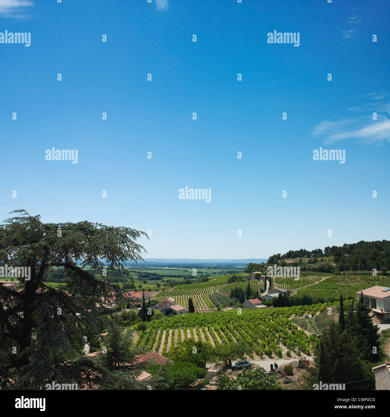 France southern rhone valley vineyards hi-res stock photography and ...