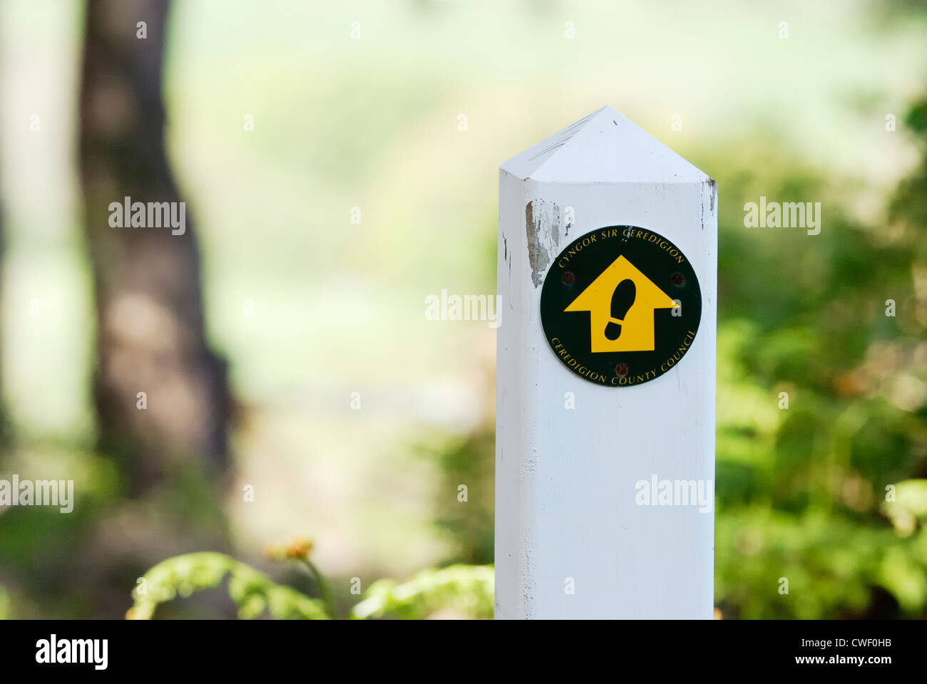 Council footpath sign on a public right of way, Wales Stock Photo - Alamy