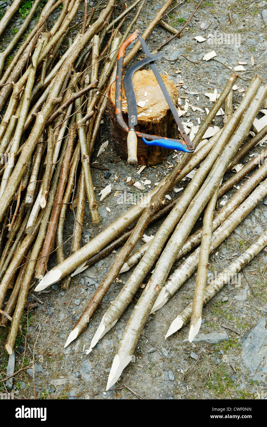 Tools and timber, Pointing Hazel stakes, Wales Stock Photo - Alamy