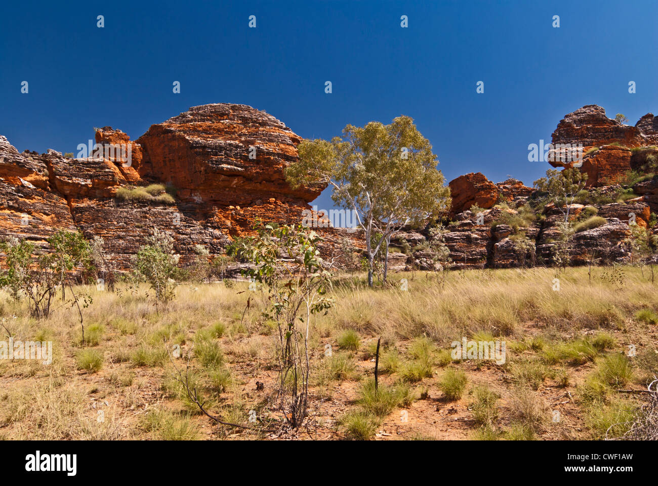 BUNGLE BUNGLE RANGE, PURNULULU NATIONAL PARK, WESTERN AUSTRALIA ...