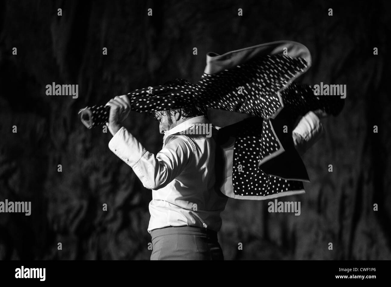 Flamenco dancers from the Antonio El Pipa dance collective put on a ...