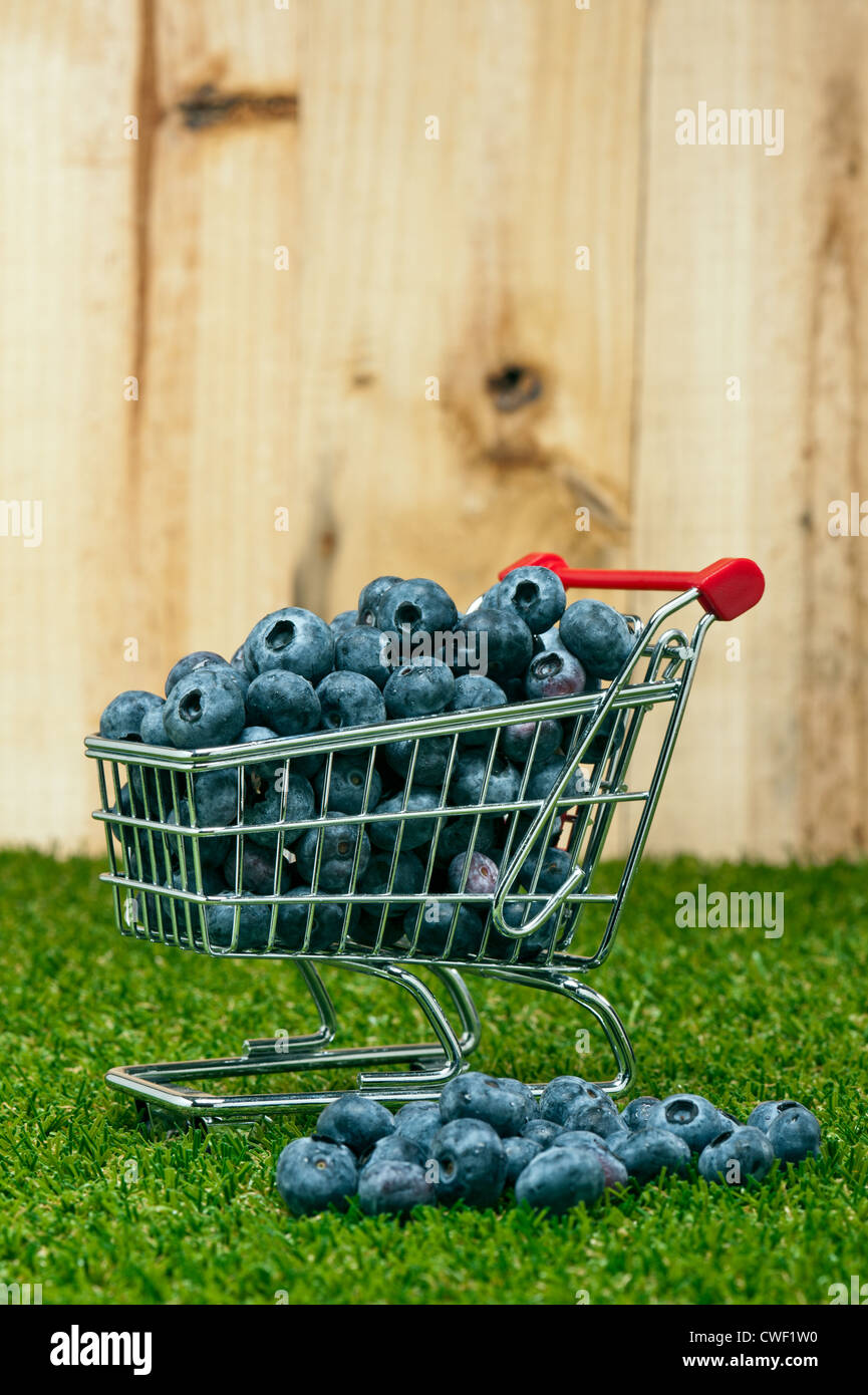 Blueberries in a shopping cart in front of a timber wall Stock Photo ...