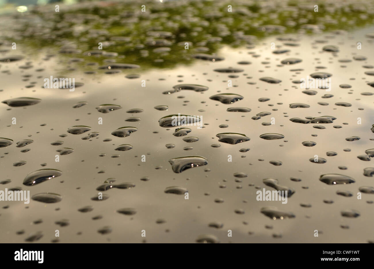 Miserable british weather hi-res stock photography and images - Alamy