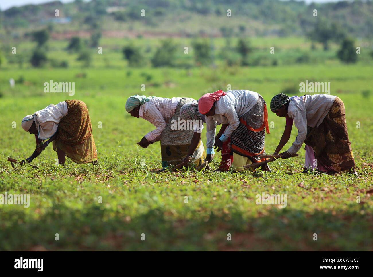 Working Women India High Resolution Stock Photography and Images - Alamy