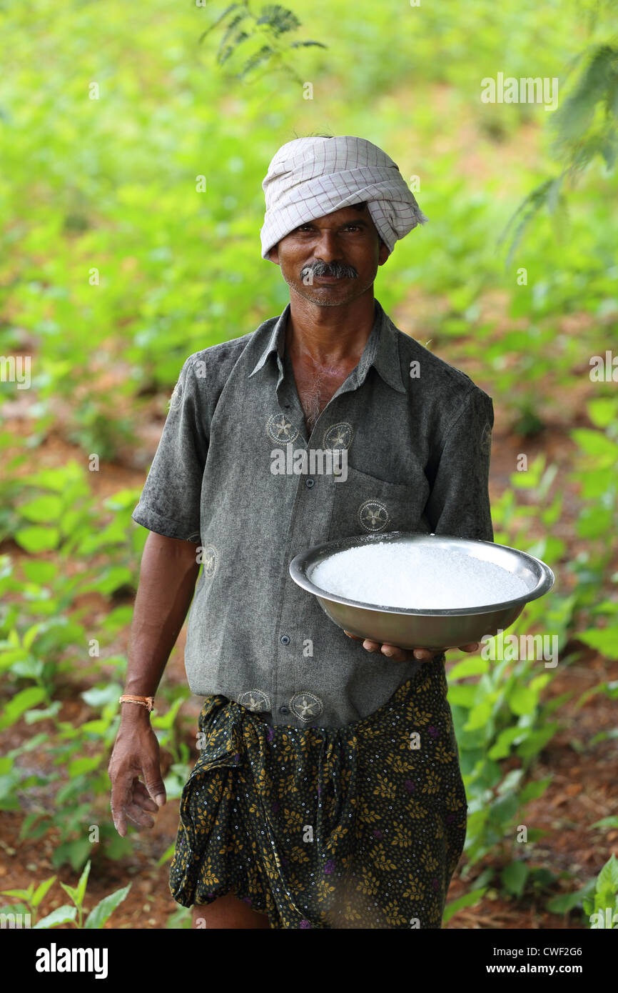 Farmer crop india hi-res stock photography and images - Alamy