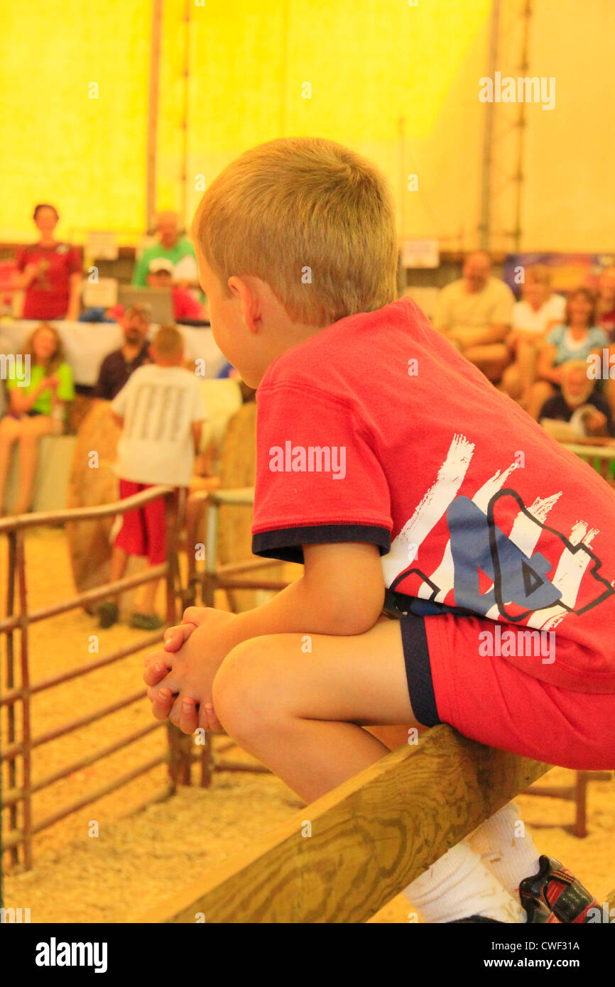 Goat Obstacle Course Competition, Rockingham County Fair, Harrisonburg ...