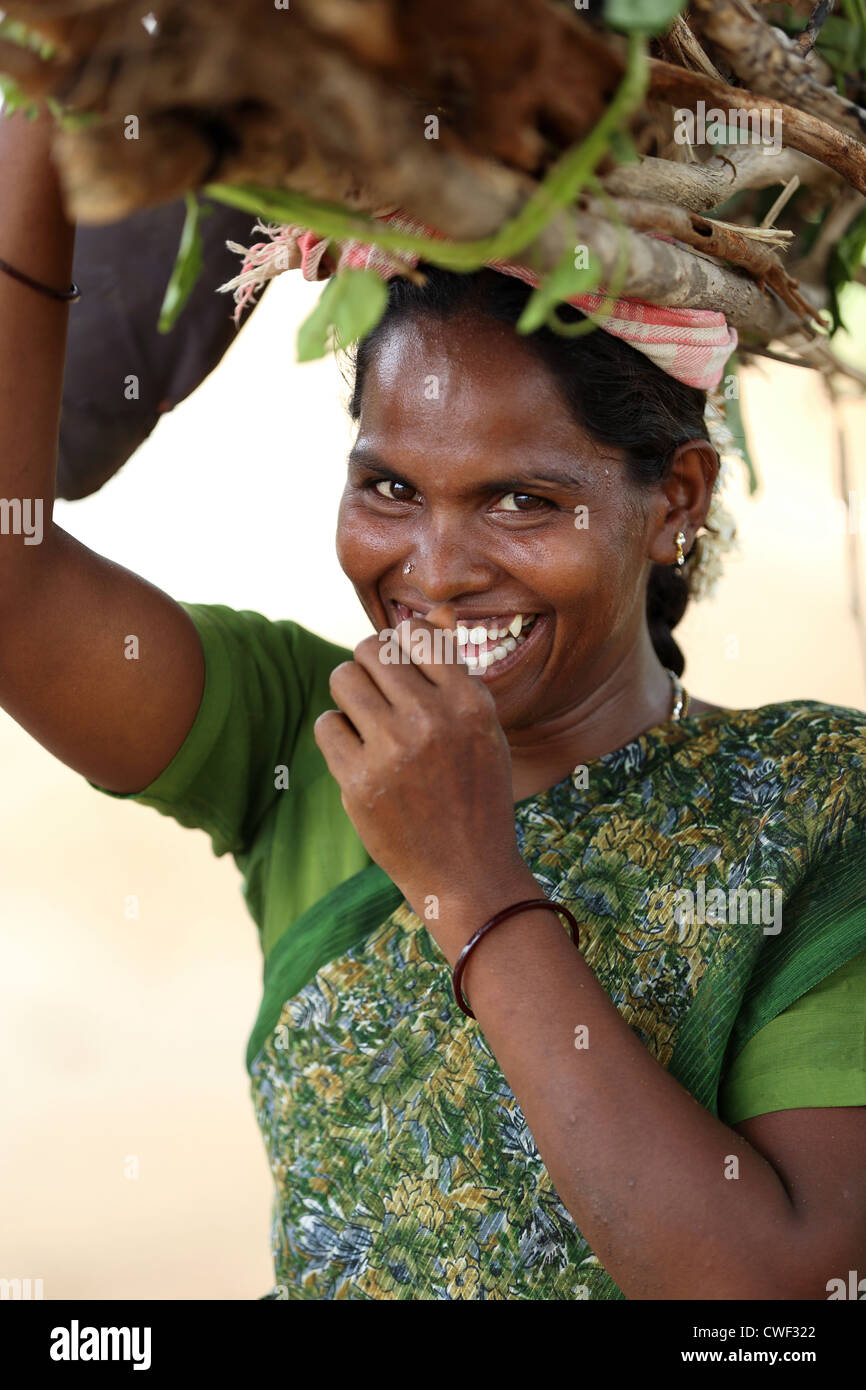 Rural Indian woman carrying wood Andhra Pradesh South India Stock Photo ...