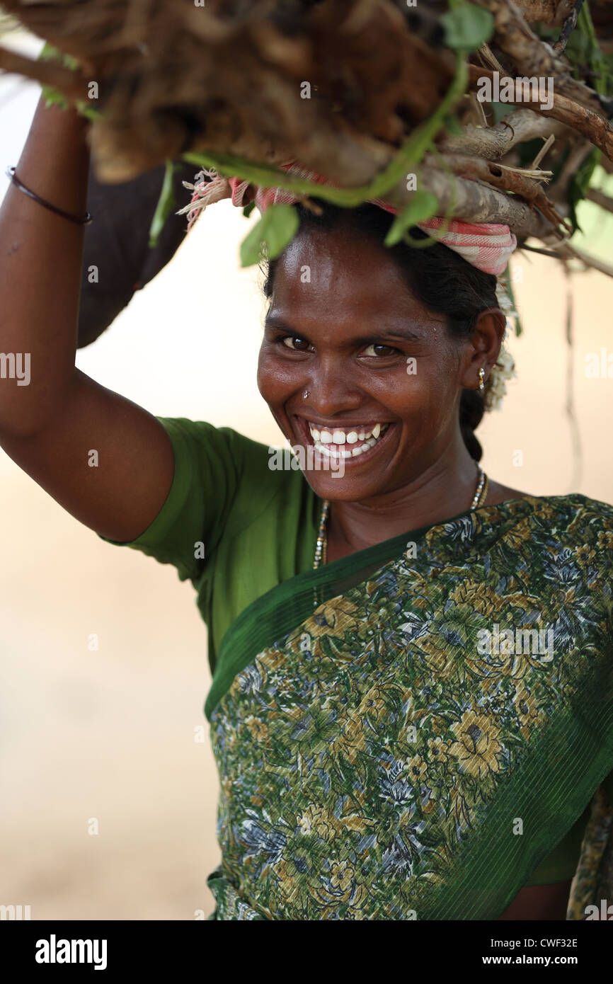 Rural indian woman carrying wood hi-res stock photography and images ...