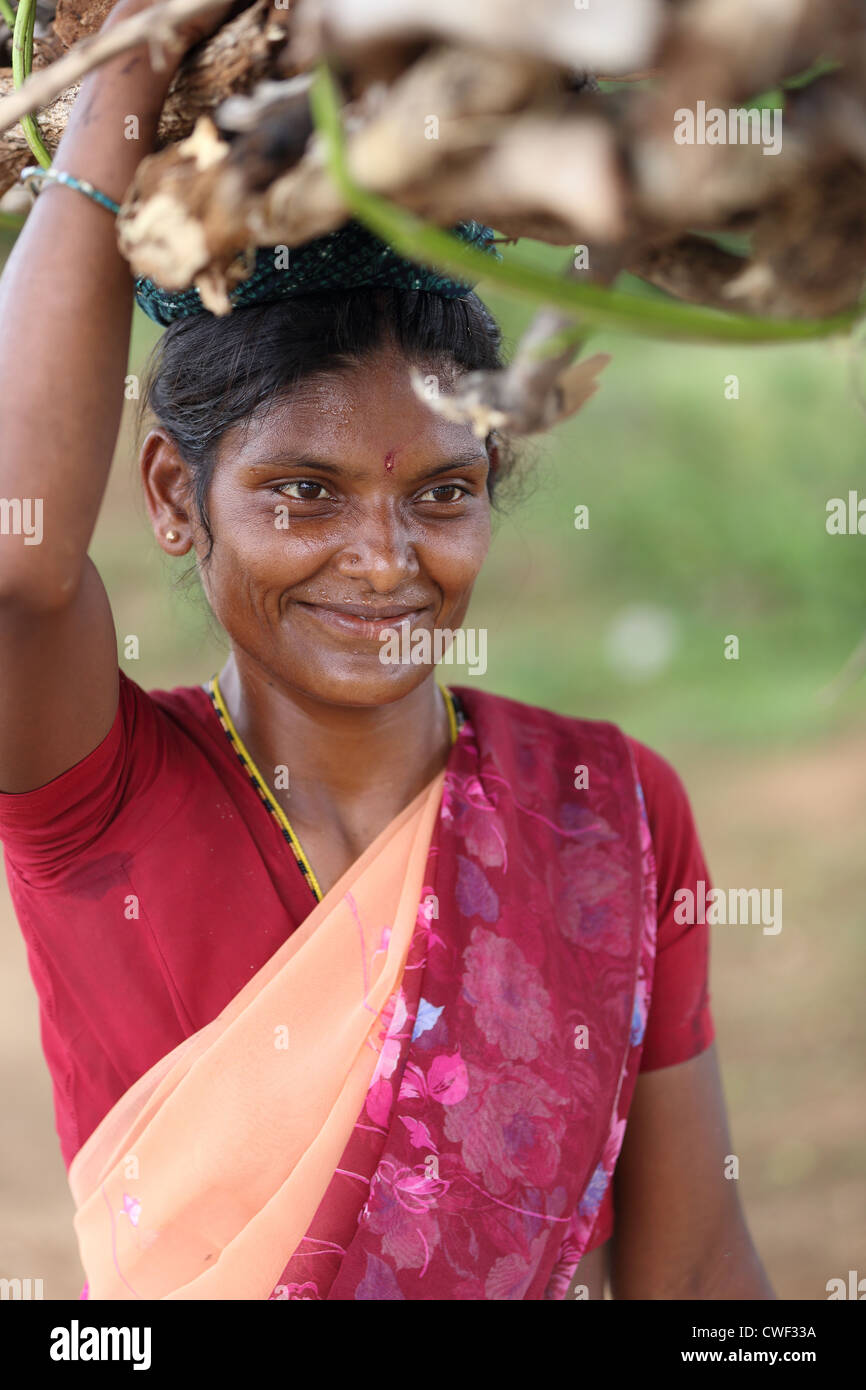 Rural Indian woman carrying wood Andhra Pradesh South India Stock Photo ...