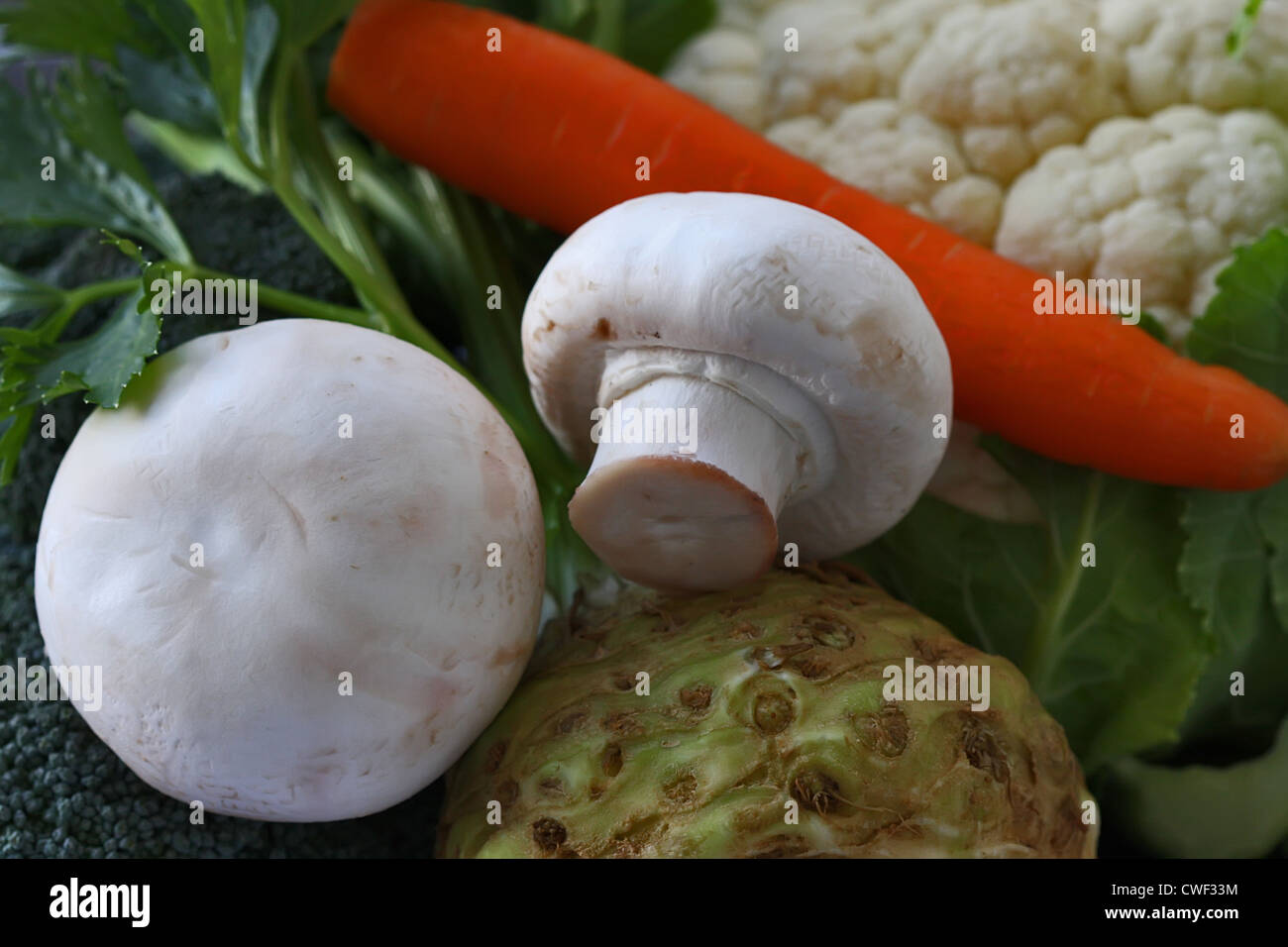 Vegetable mushroom ingredient vegetables hi-res stock photography and ...