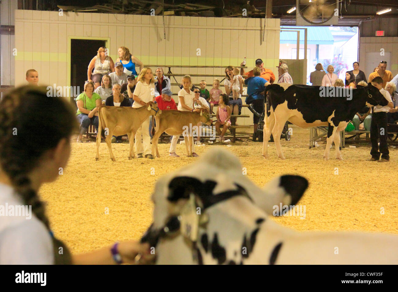 Youth Dairy Show, Rockingham County Fair, Harrisonburg, Shenandoah ...