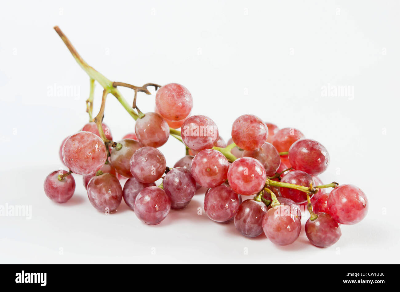 bunch of fresh red grapes Stock Photo - Alamy