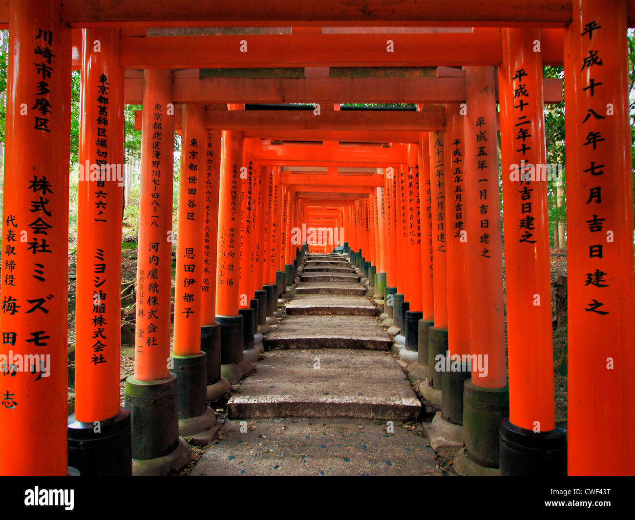 Uphill path with steps under bright red japanese gates receding into ...