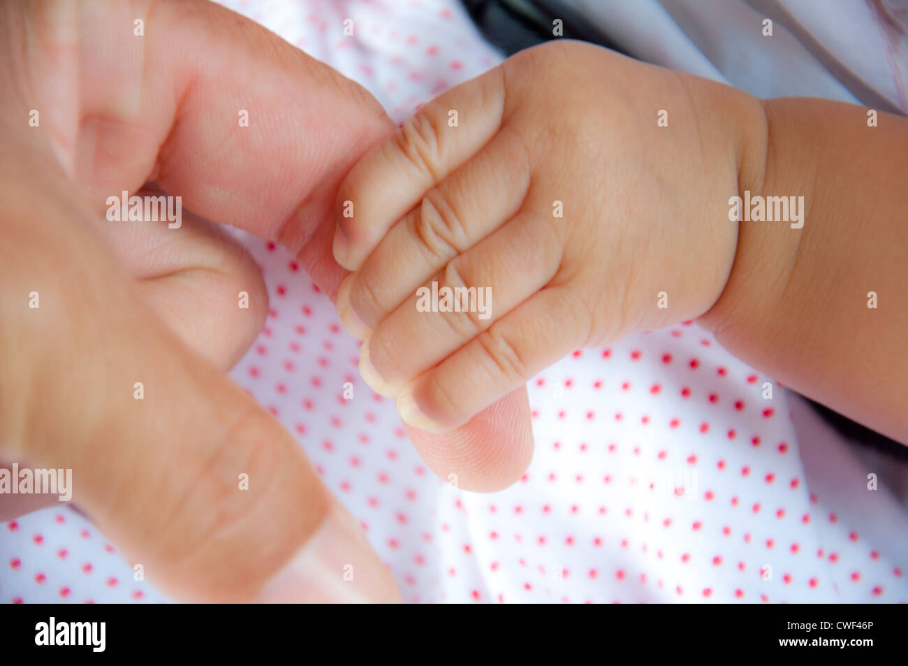 baby hand from new born Stock Photo - Alamy