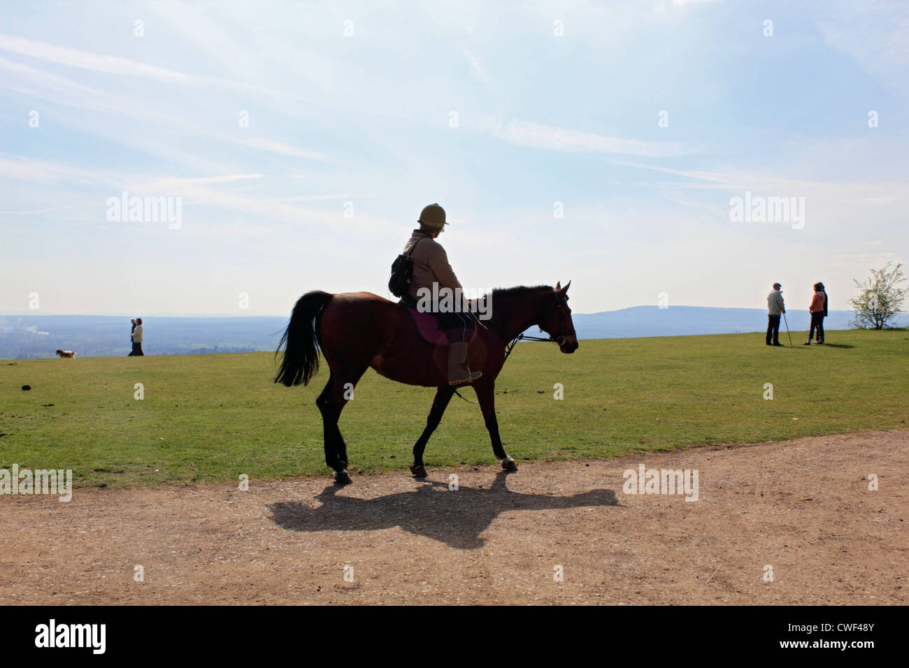 Reigate Hill on the North Downs, Surrey, England UK Stock Photo - Alamy