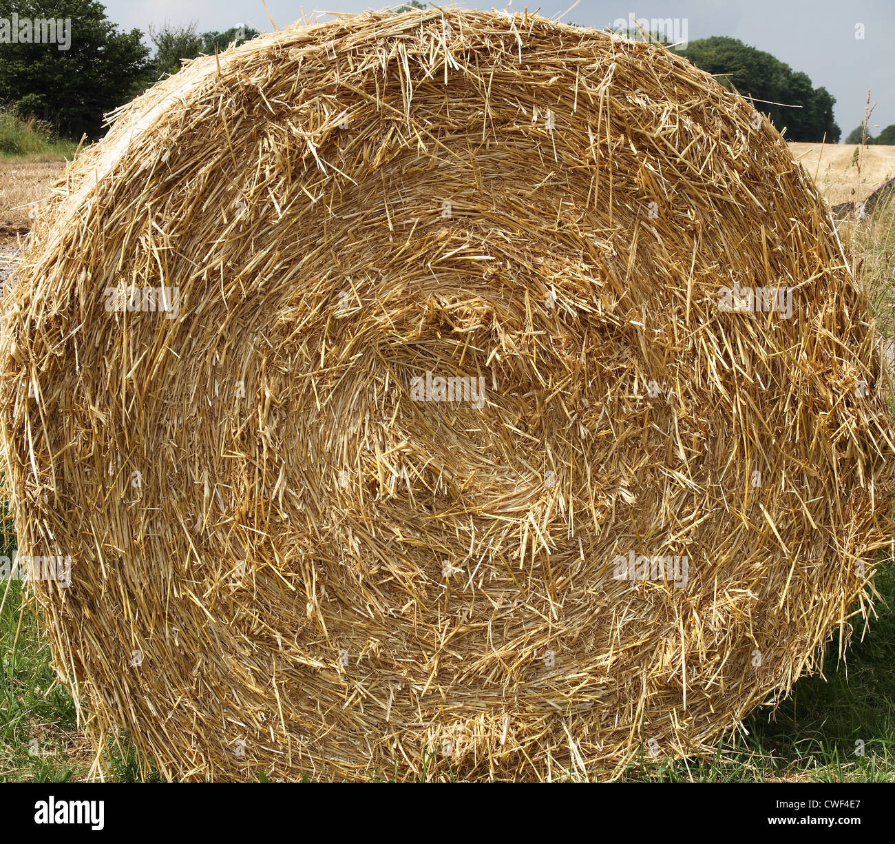 Wheat straw bale hi-res stock photography and images - Alamy