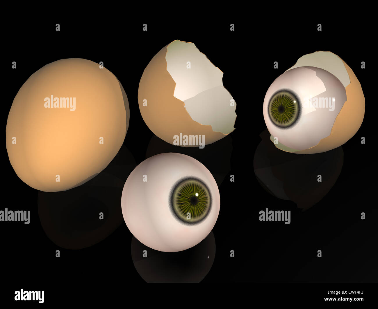 eyes and egg Stock Photo - Alamy