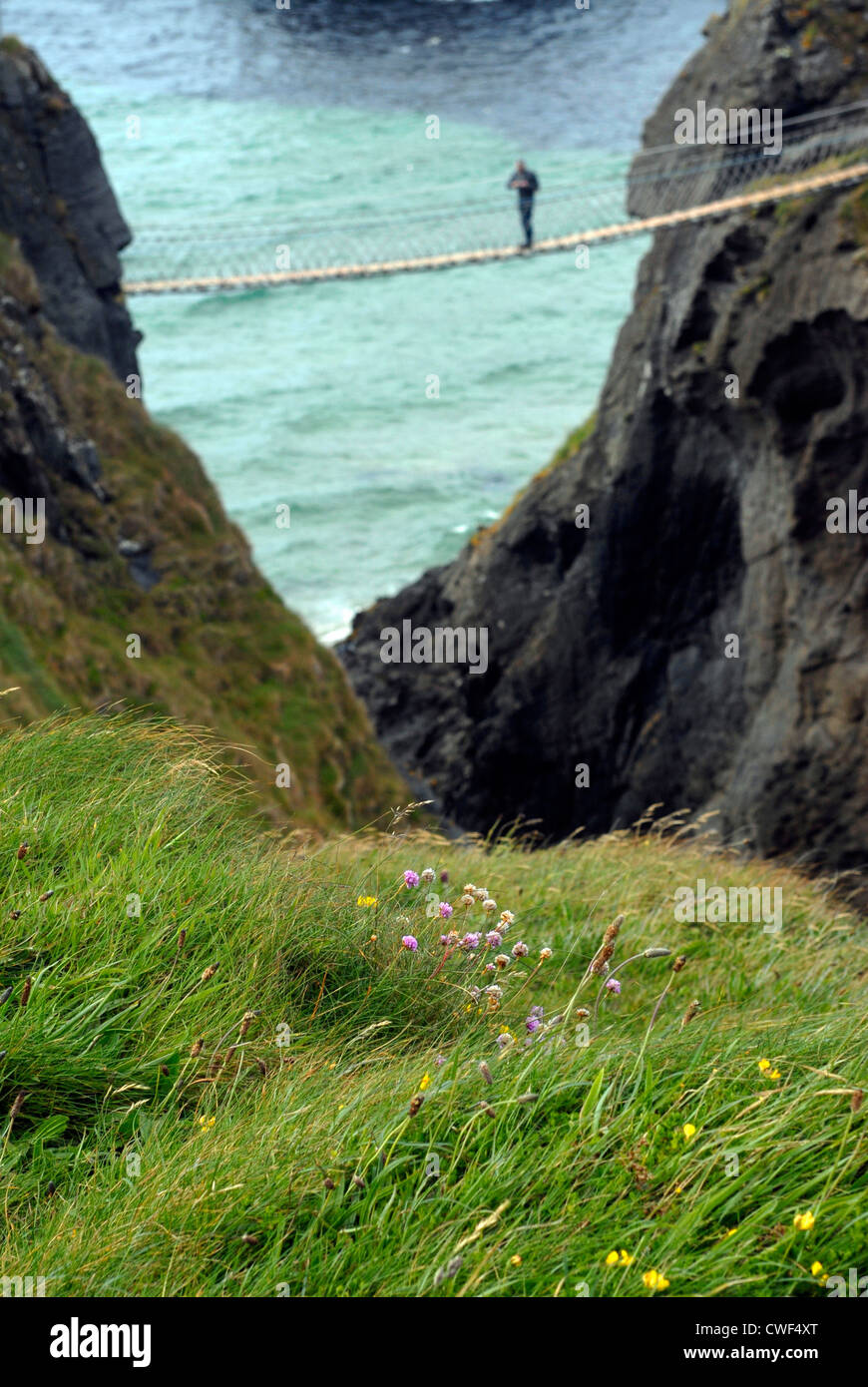The hanging bridge Carrick-a-Rede, in Larrybane, Coastal Road, County ...