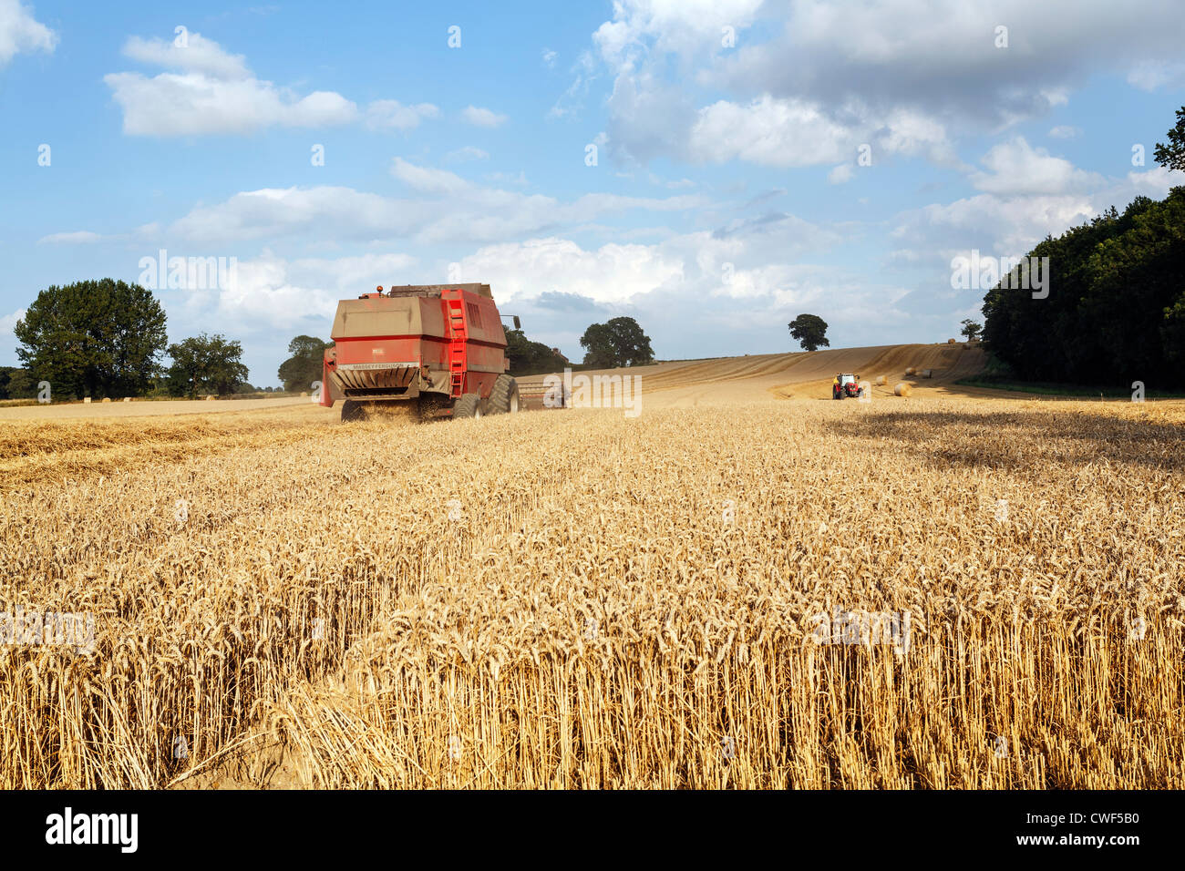 Farmers harvesting their crop while the sun shines in the beautiful ...