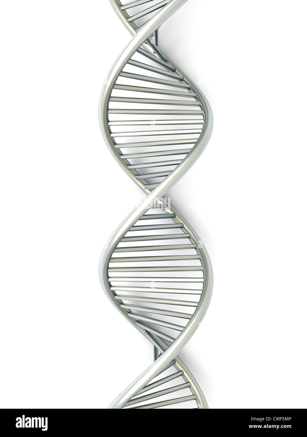 A symbolic DNA model Stock Photo - Alamy