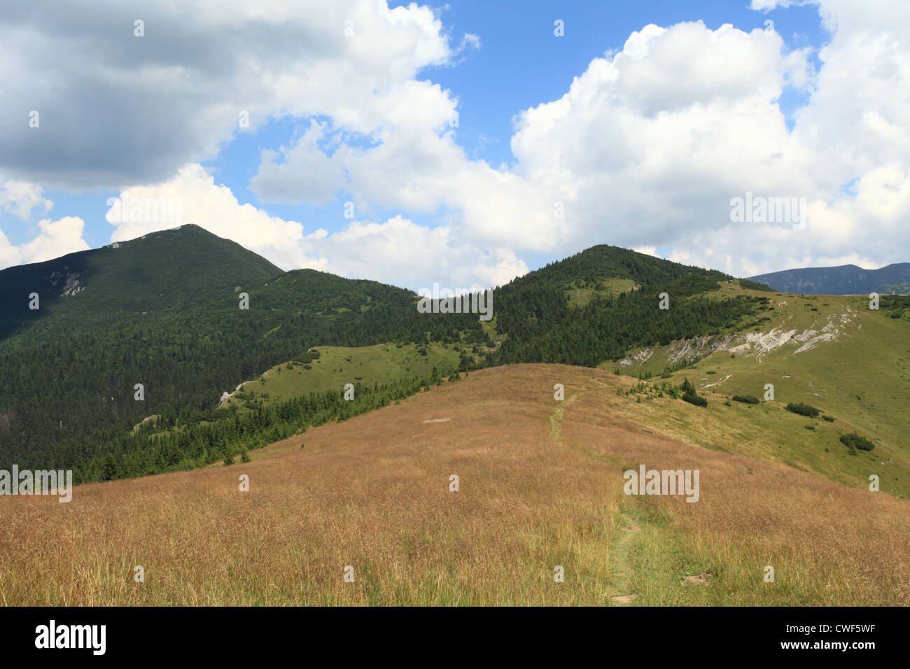 Mala kopa hi-res stock photography and images - Alamy