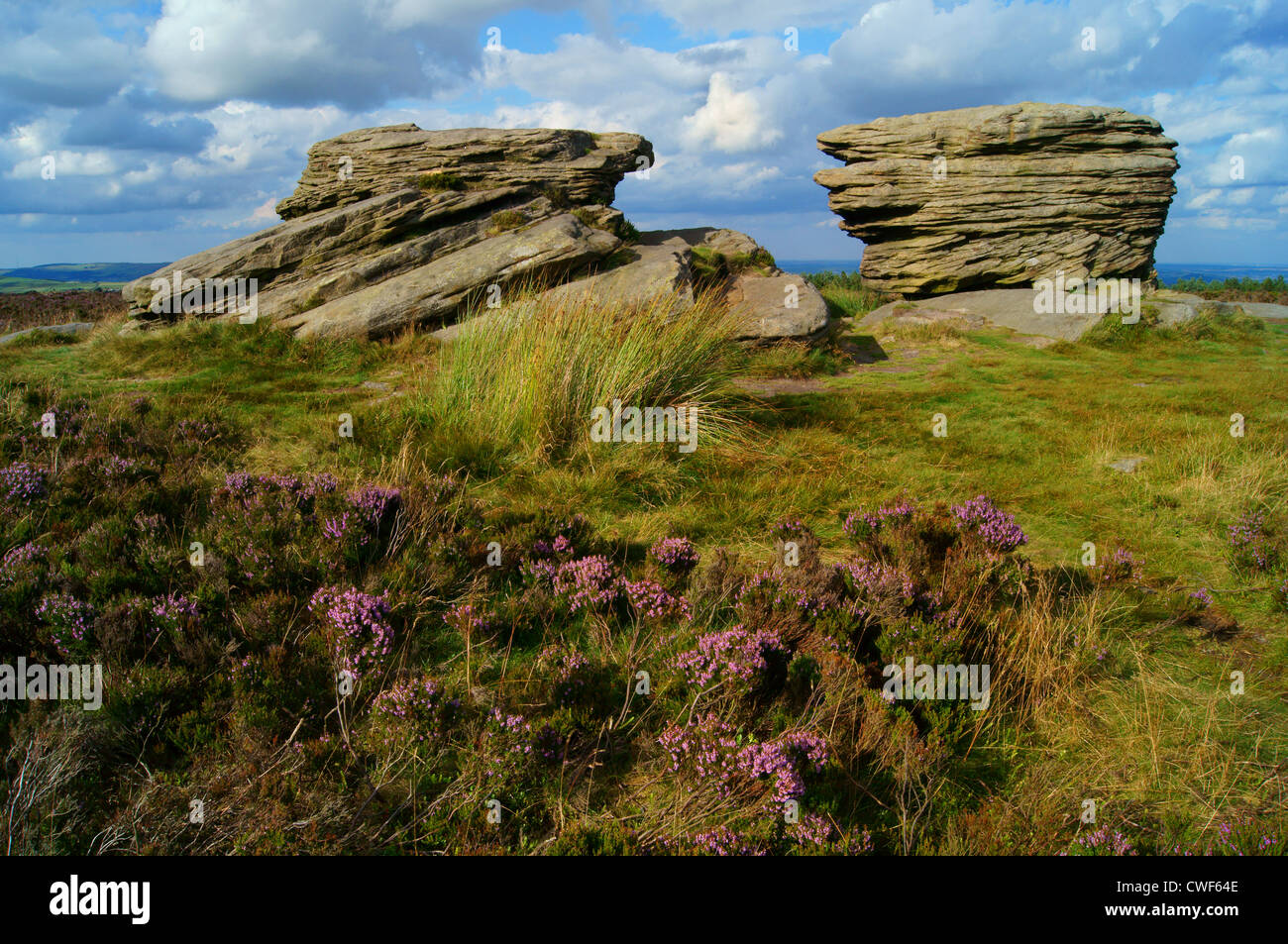 UK,South Yorkshire,Peak District,Near Sheffield,Ox Stones Stock Photo ...