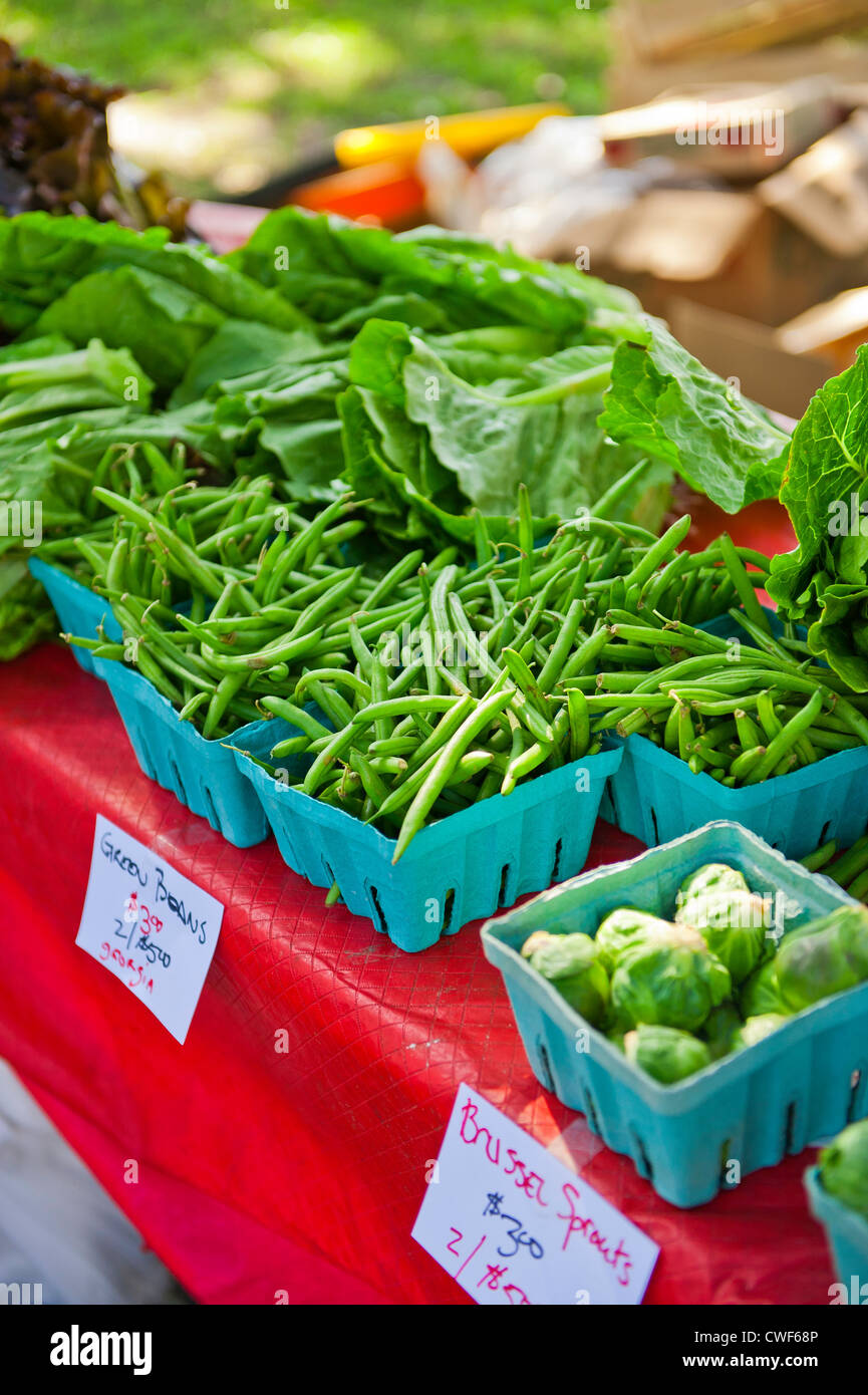 Farm fresh green beans & vegetables in an open air grocery market Stock ...