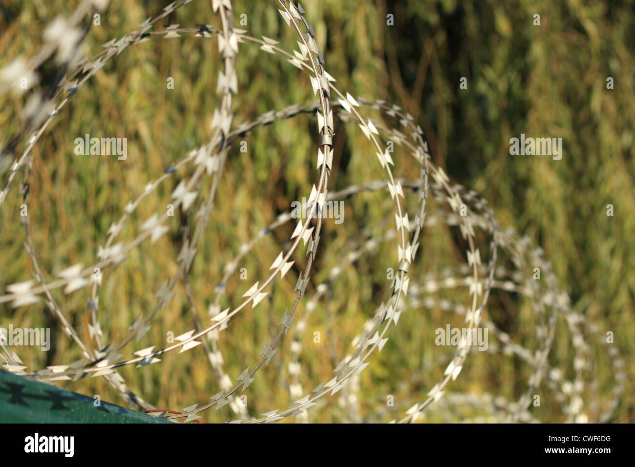 Anti theft net hi-res stock photography and images - Alamy