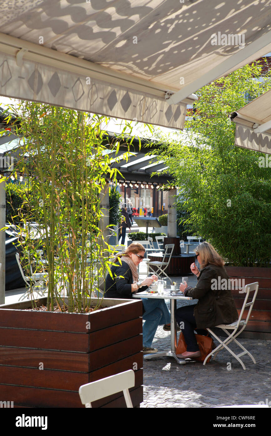 Bluebird chelsea hi-res stock photography and images - Alamy