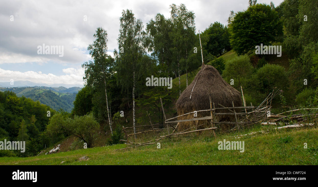 Hay rick transylvania hi-res stock photography and images - Alamy